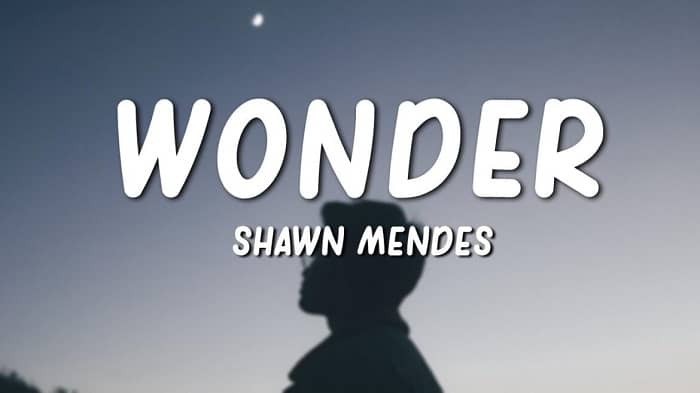 متن و ترجمه آهنگ Wonder از Shawn Mendes - ماگرتا