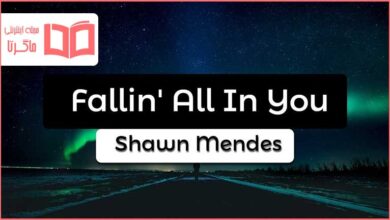 متن و ترجمه آهنگ Fallin all in you از Shawn Mendes - ماگرتا