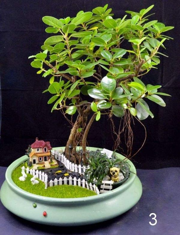 باغچه‌ی رویایی در اندازه کوچک ؛ ۳۰ مدل باغچه مینیاتوری که خانه شما را ...