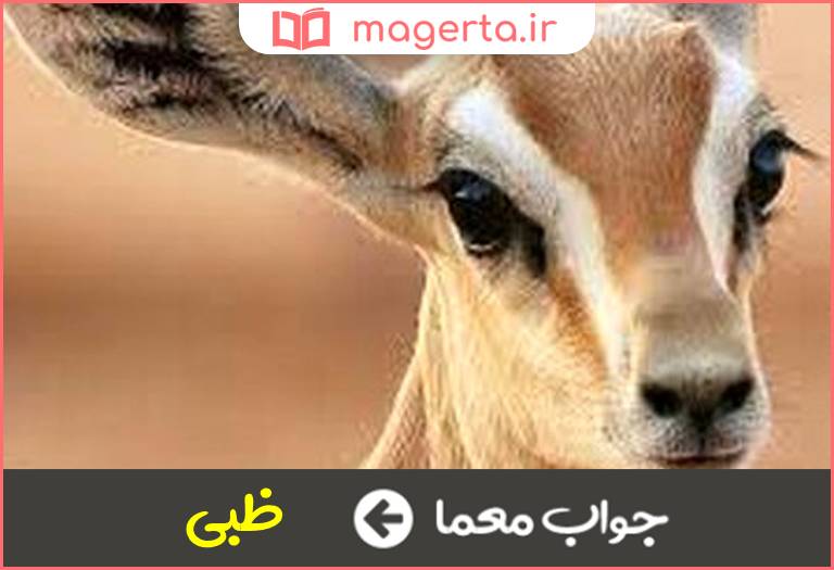 غزال و آهو در جدول - ماگرتا