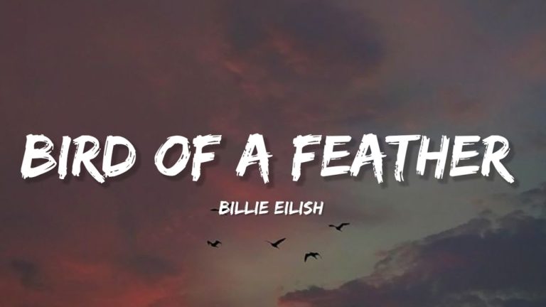 متن و ترجمه آهنگ BIRDS OF A FEATHER از Billie Eilish - ماگرتا