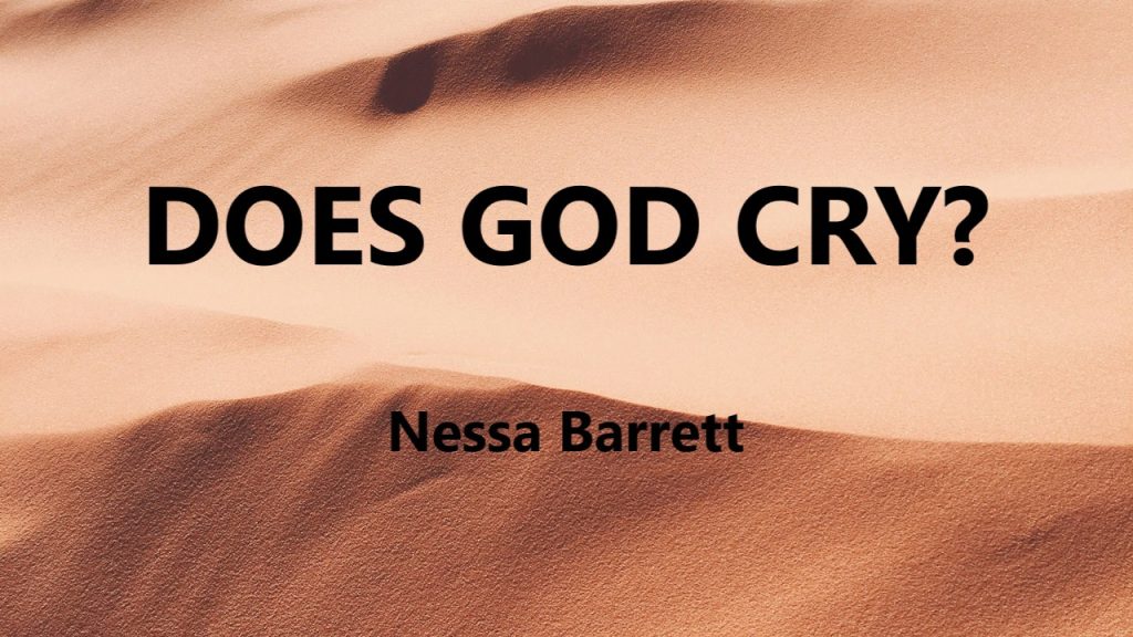 متن و ترجمه آهنگ DOES GOD CRY از Nessa Barrett - ماگرتا
